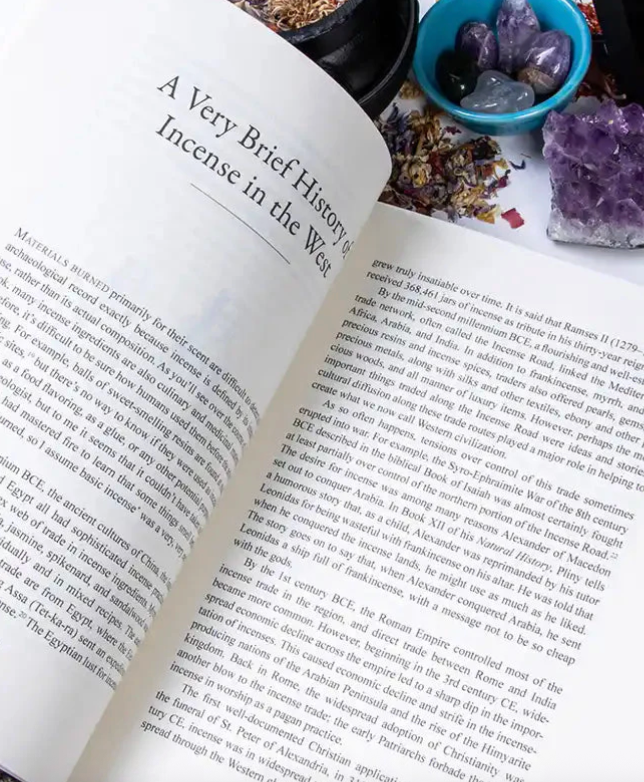 Blackthorn's Protection Magic *PRE-ORDER 1/12* – Ghost Gallery