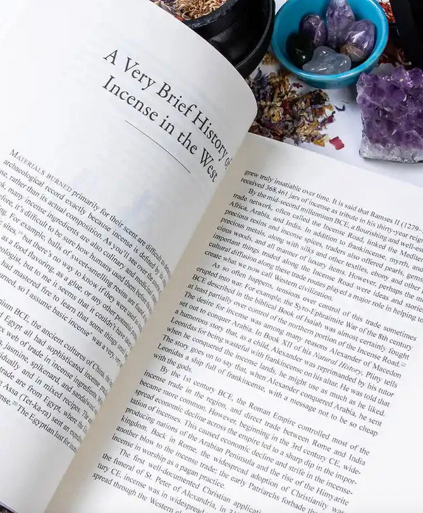 Blackthorn's Protection Magic *PRE-ORDER 1/12* – Ghost Gallery